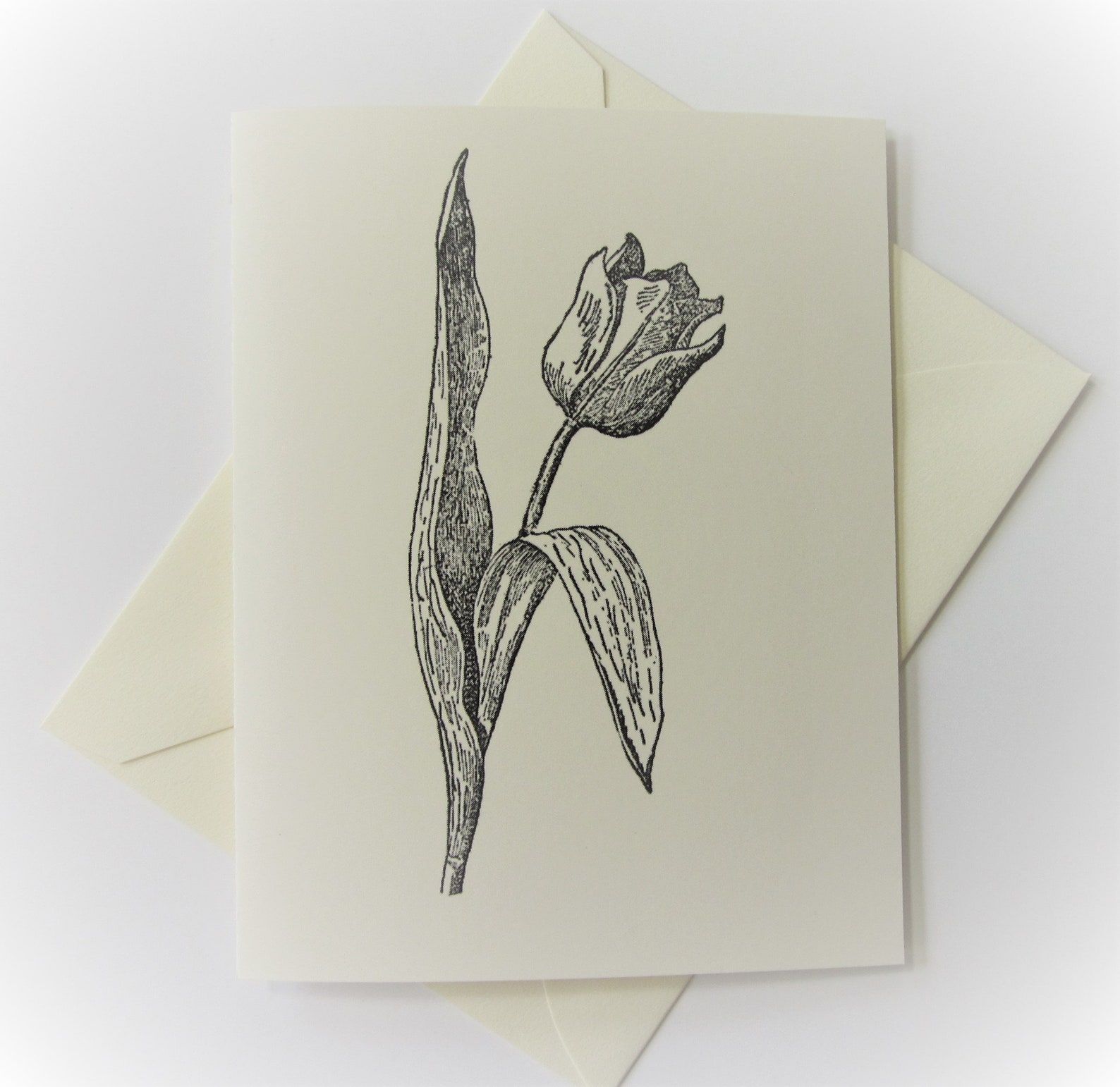 Tulip Flower Note Cards Stationery Set of 10 Cards in White or | Etsy