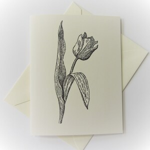 Tulip Flower Note Cards Stationery Set of 10 Cards in White or Light ...