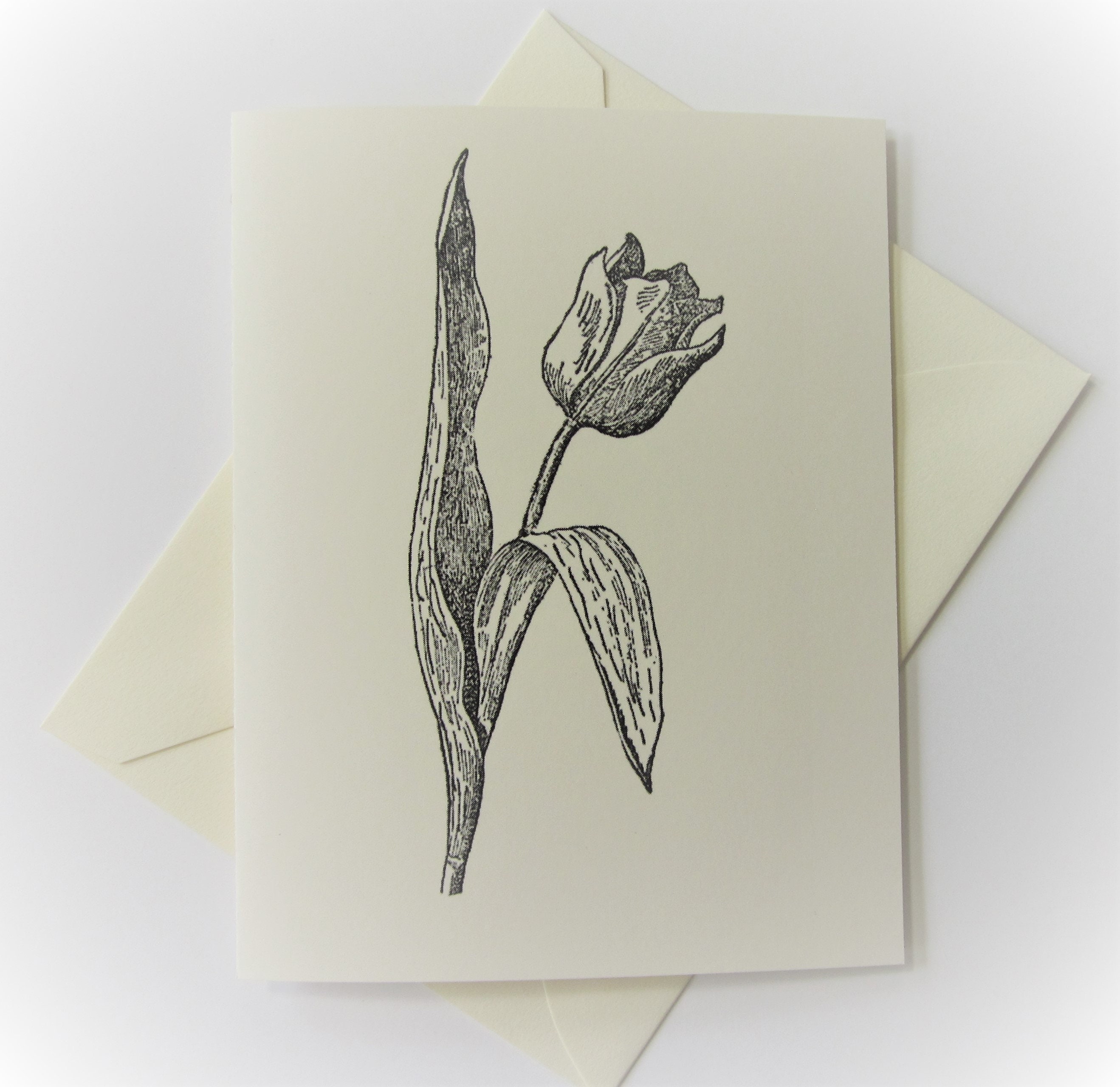 Tulip Flower Note Cards Stationery Set of 10 Cards in White or - Etsy