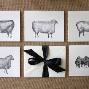Sheep Lamb Note Cards Set of 10 With Matching Envelopes - Etsy