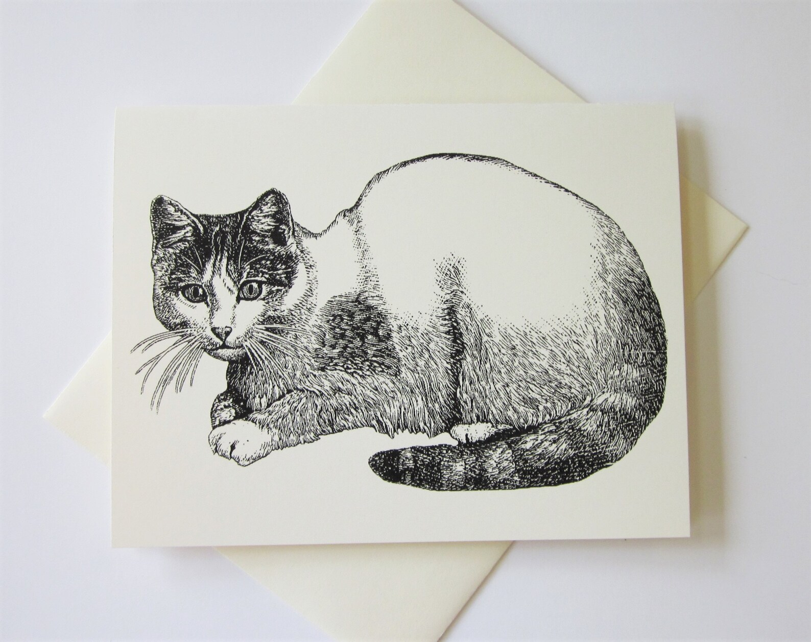 Cat Note Cards Stationery Set of 10 Cards in White or Light Ivory With ...