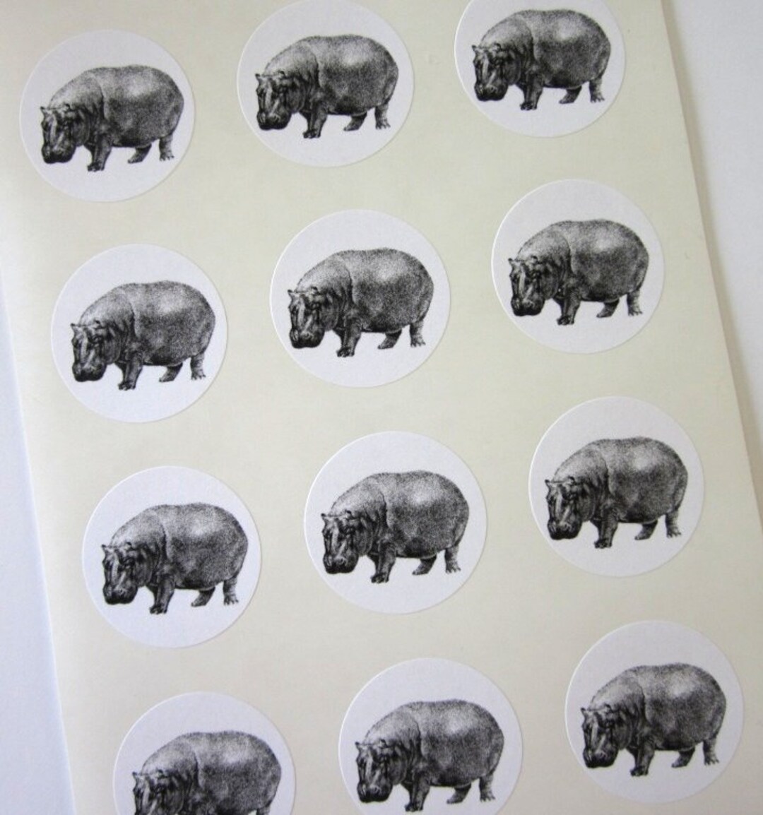 Hippo Hippopotamus Stickers One Inch Round Seals - Etsy