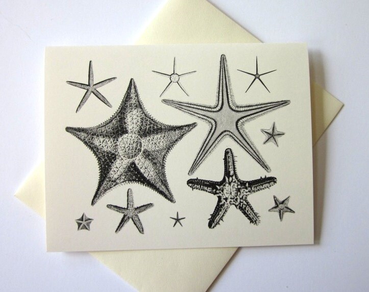 Starfish Stationery Note Cards Set of 10 With Matching | Etsy