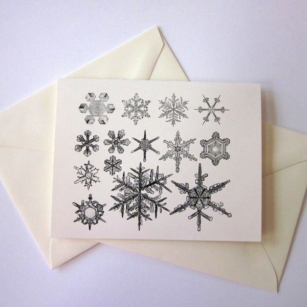 Pine Tree Note Card Set of 10 in White or Light Ivory With Matching ...