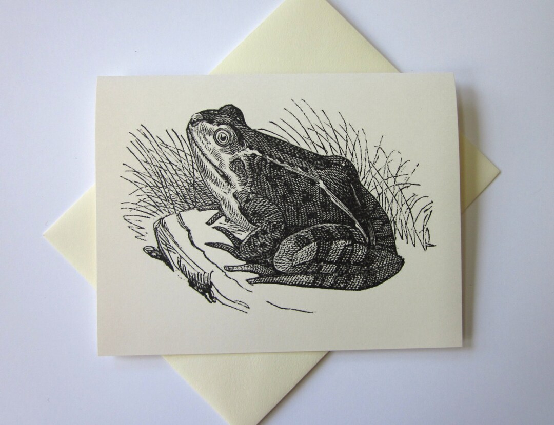Frog Note Cards Set of 10 With Matching Envelopes - Etsy