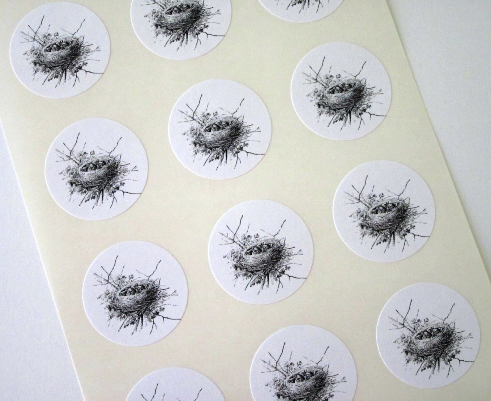 Bird Nest With Baby Birds Stickers One Inch Round Seals - Etsy