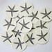 Starfish Round Gift Tags Set of 10 - Etsy