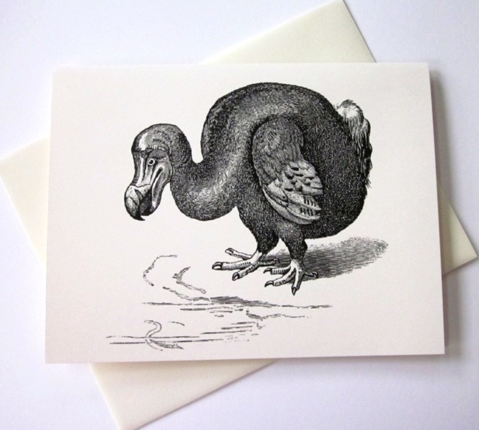 Dodo Bird Note Card Set of 10 in White or Light Ivory With Matching ...