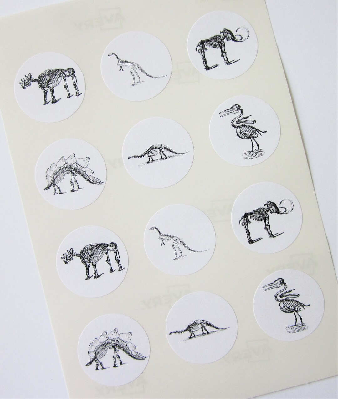 Dinosaur Skeleton Bones Stickers One Inch Round Seals - Etsy