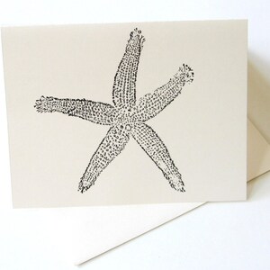 Starfish Note Card Set of 4 With Matching Envelopes - Etsy