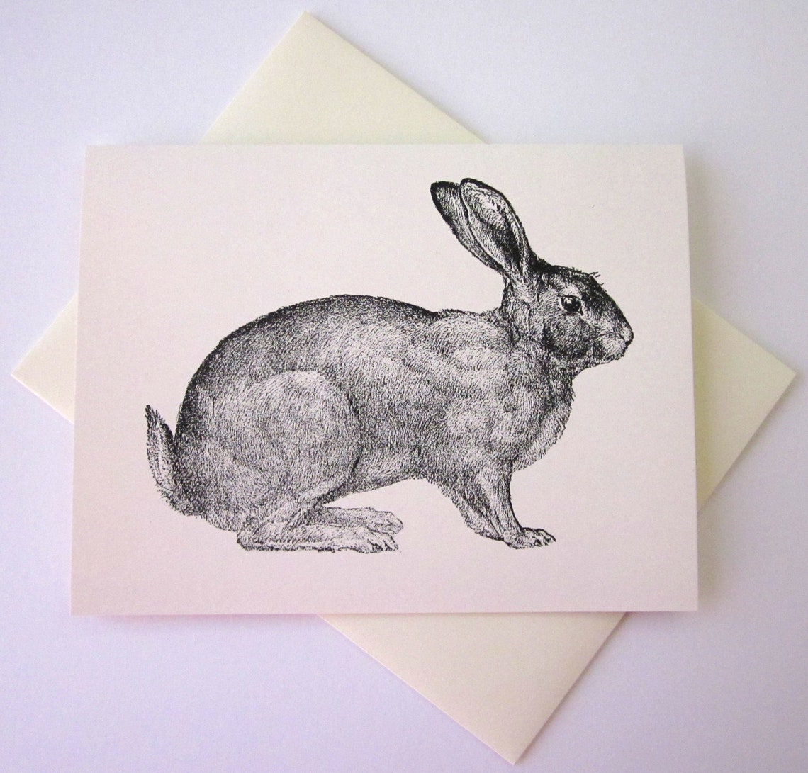 Rabbit Note Card Set of 10 in White or Light Ivory With Matching ...