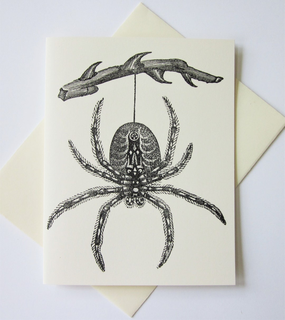 Spider Note Cards Set of 10 in White or Ivory With Matching Envelopes ...