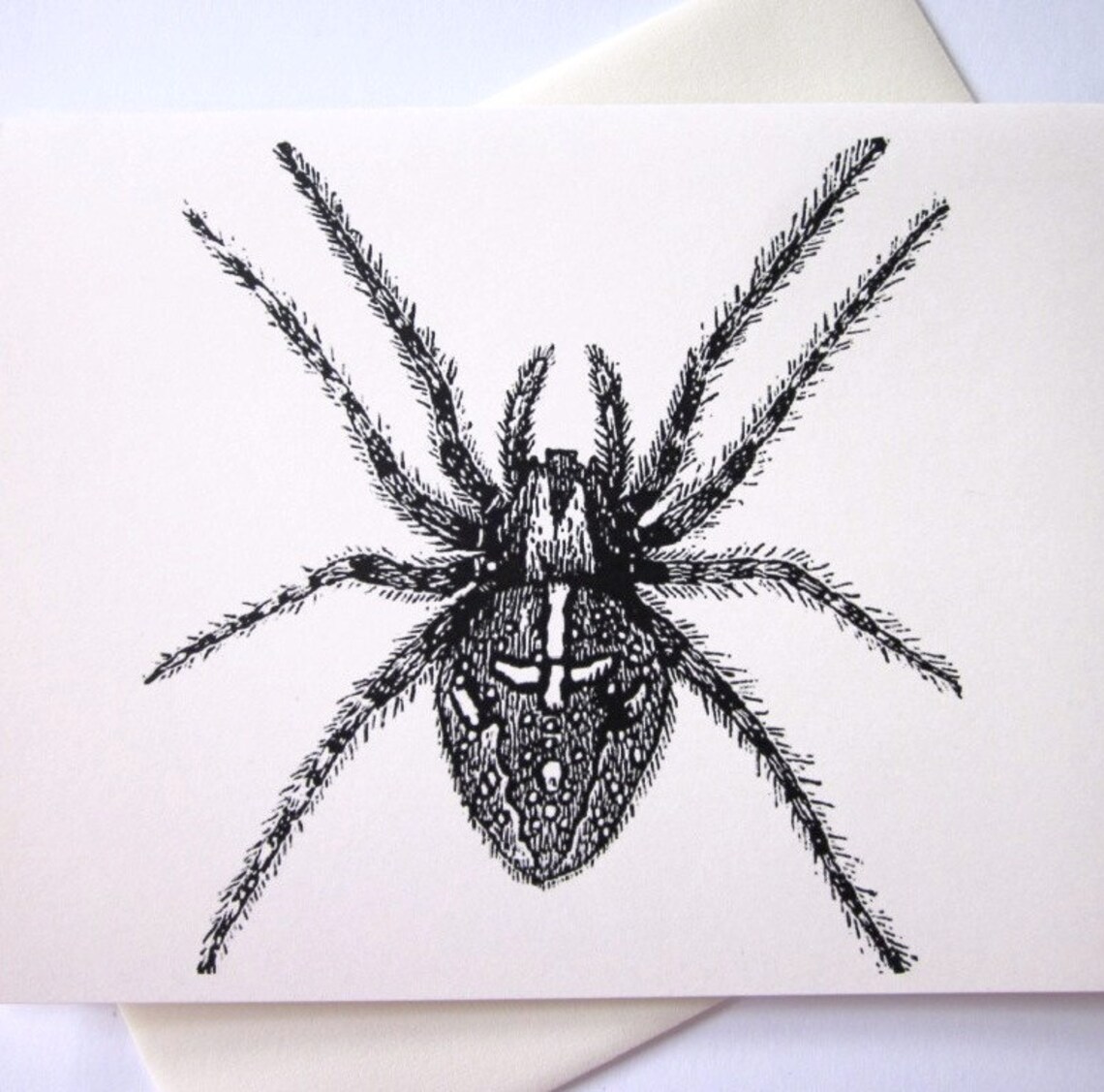 Spider Note Cards Set of 10 in White or Ivory With Matching - Etsy