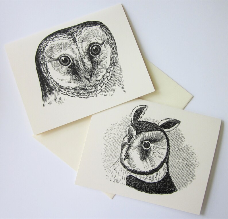 Owl Note Cards Stationery Set of 10 Cards - Etsy