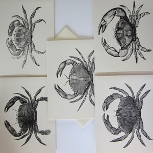 Crab Note Cards Set of 10 With Matching Envelopes - Etsy