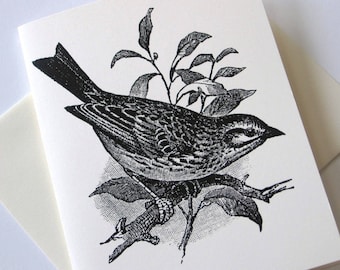 Spider Note Cards Set of 10 in White or Ivory With Matching | Etsy