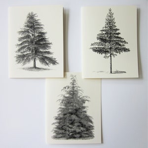 Pine Tree Note Card Set of 10 in White or Light Ivory With Matching ...