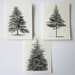 Pine Tree Note Card Set of 10 in White or Light Ivory With Matching ...