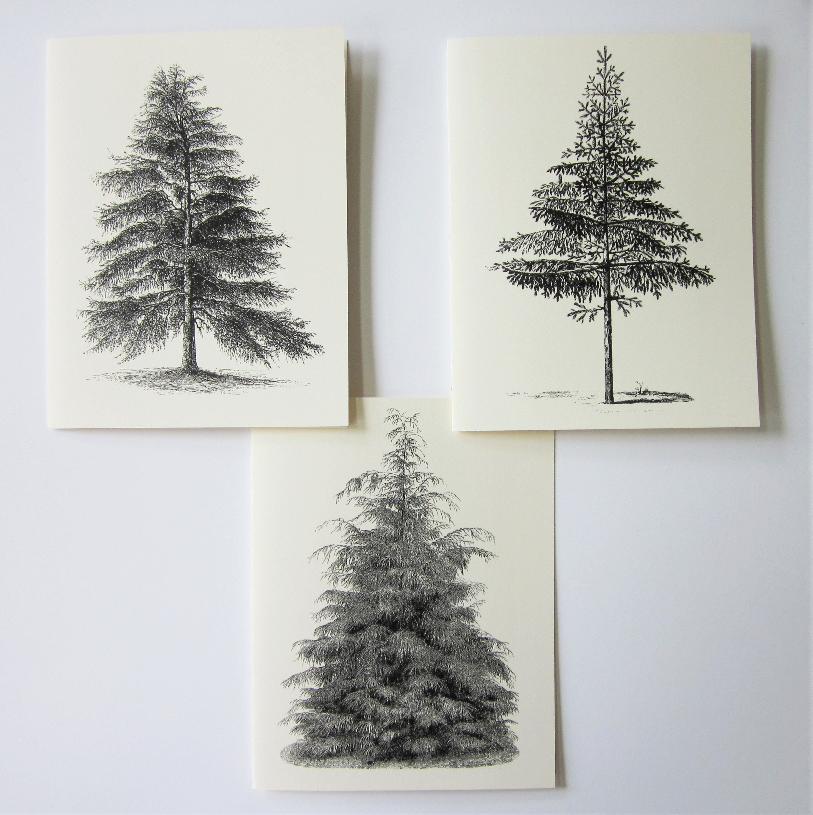 Pine Tree Note Card Set of 10 in White or Light Ivory With - Etsy
