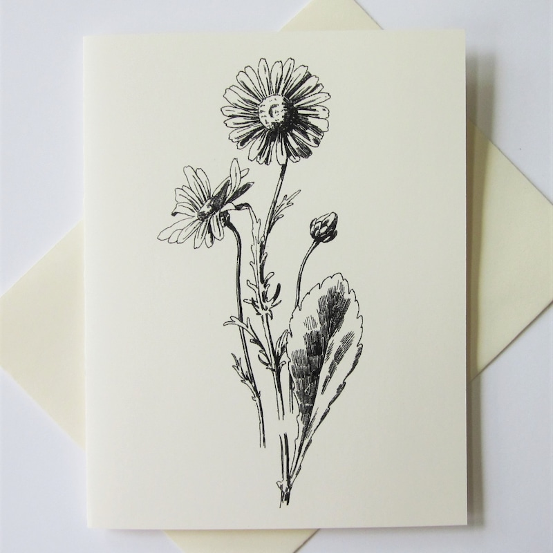 Daisy Note Cards - Etsy
