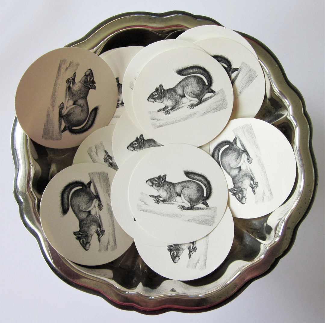 Squirrel Tags Round Gift Tags Set of 10 - Etsy