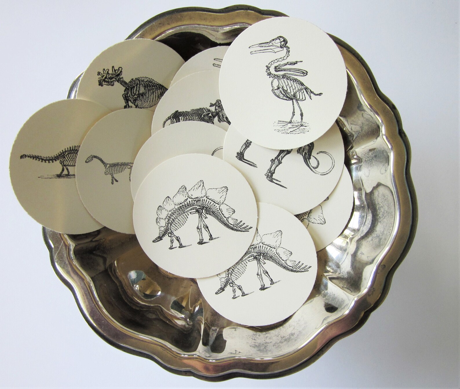 Dinosaur Skeleton Bones Tags Round Gift Tags Set of 10 - Etsy