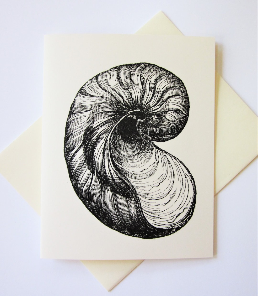 Nautilus Shell Note Cards Stationery Set of 10 Cards in White or Light ...