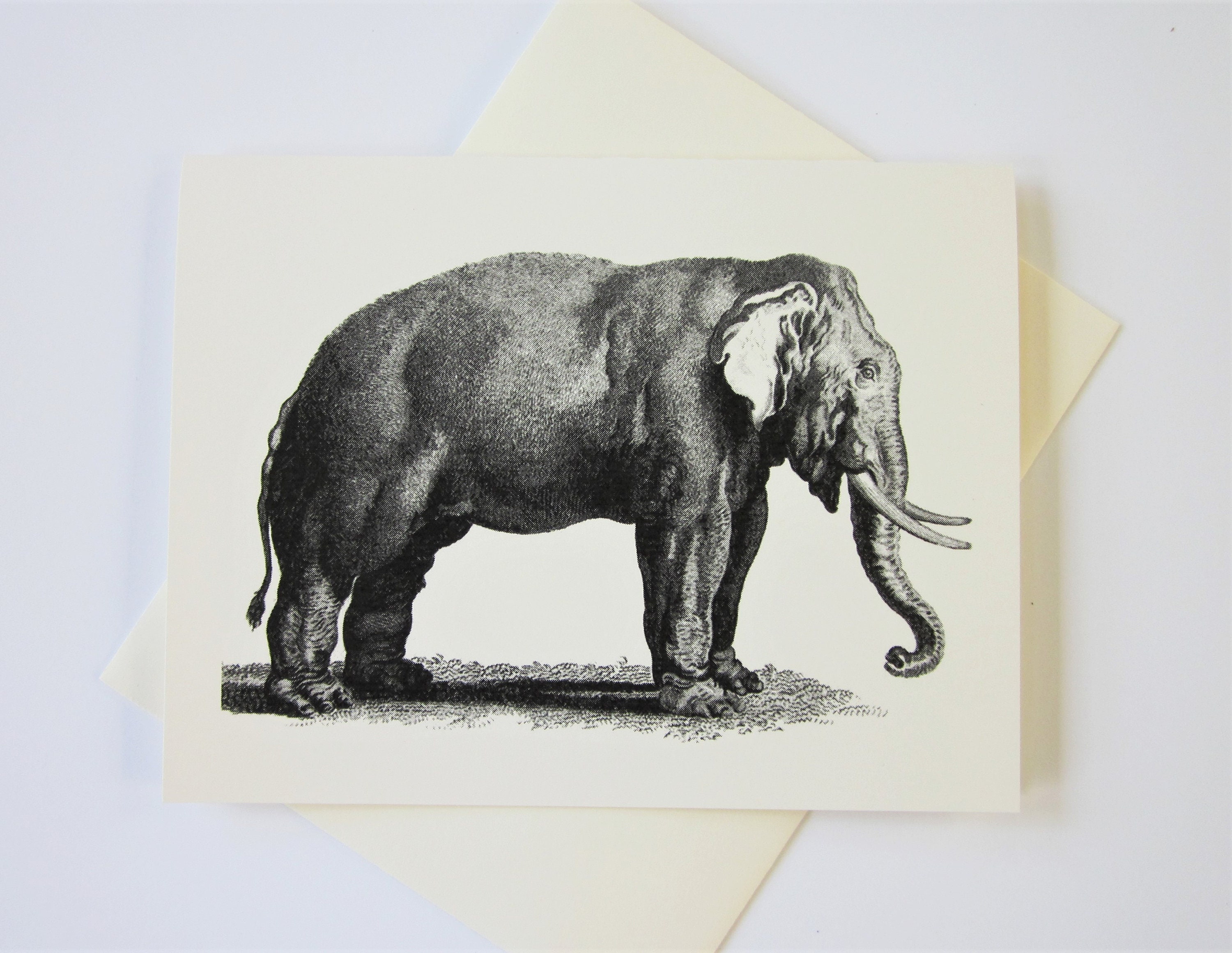 Elephant Note Cards Stationery Set of 10 Cards - Etsy
