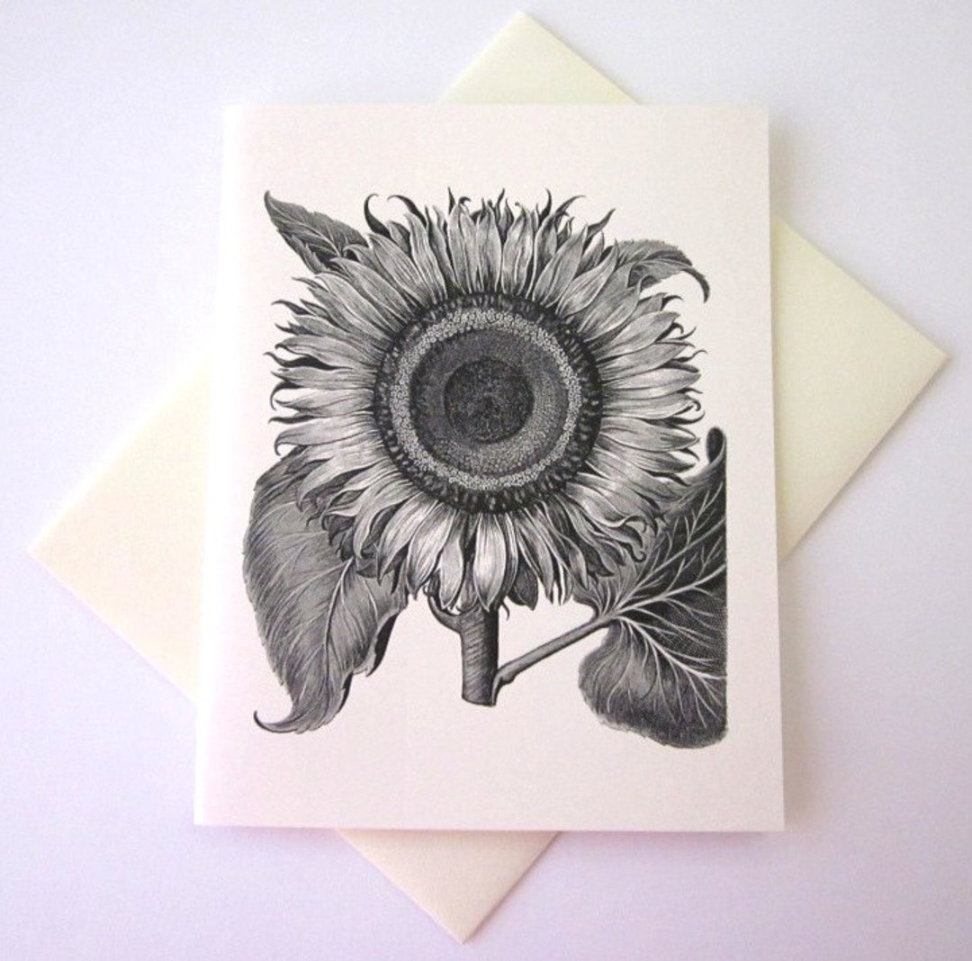 Sunflower Note Card Set of 10 in White or Light Ivory With Matching ...