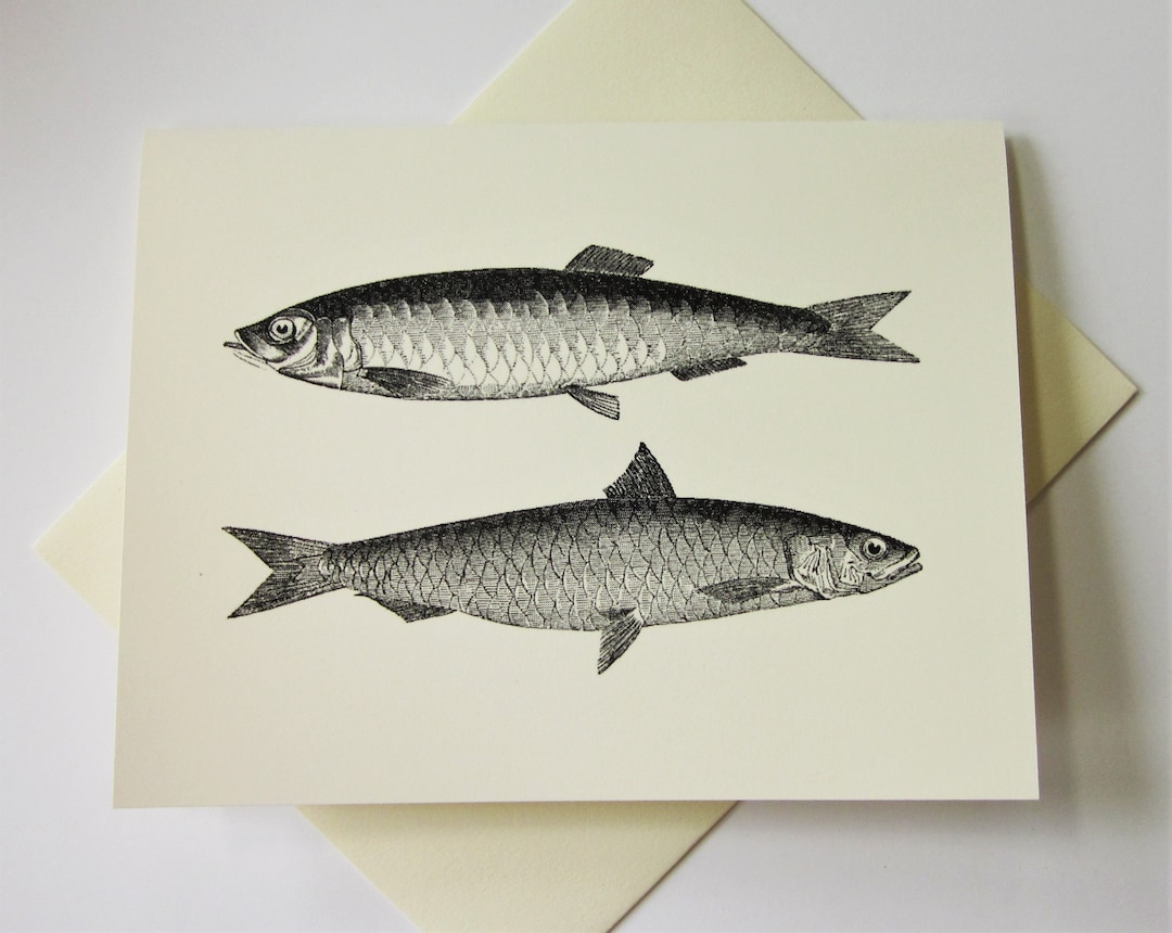 Fish Note Cards Stationery Set of 10 Cards in White or Light Ivory With ...