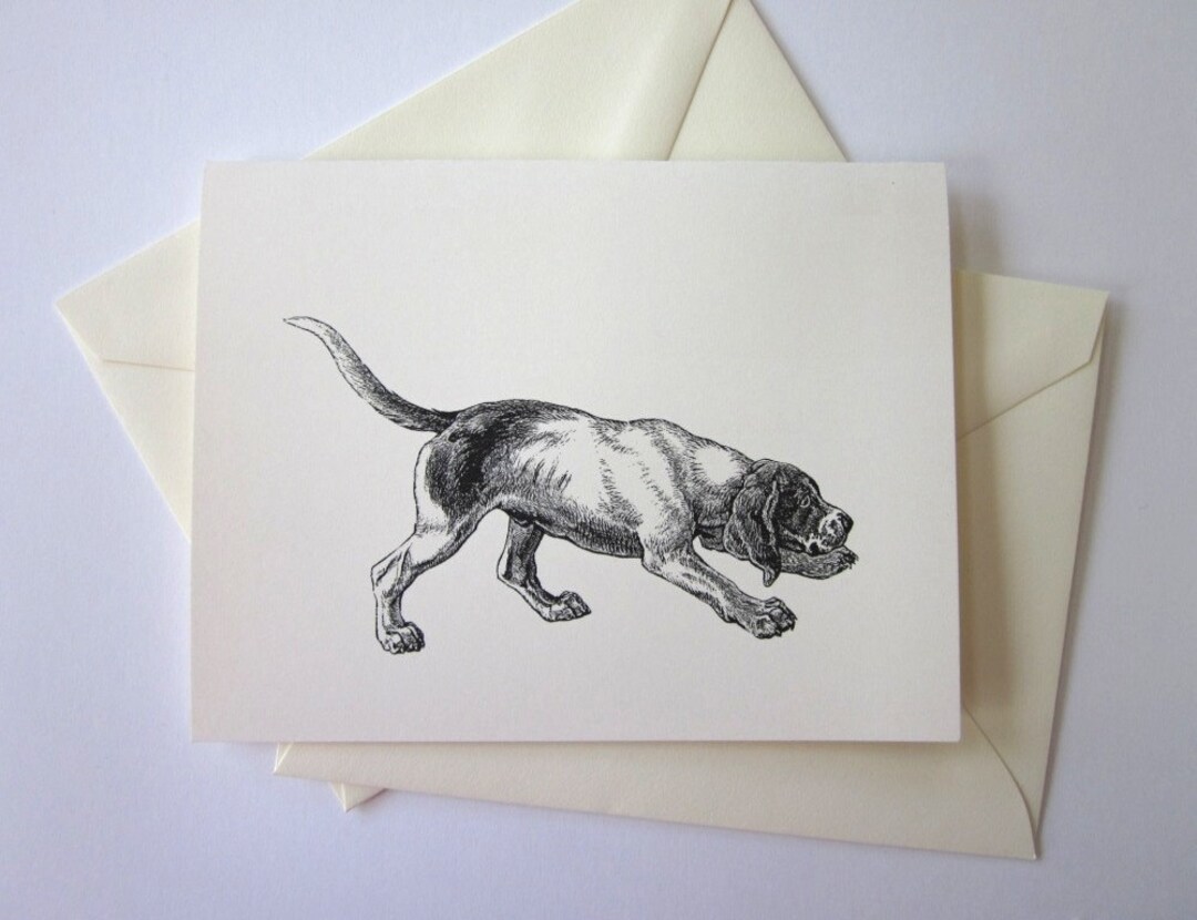 Hunting Dog Note Cards Stationery Set of 10 Cards in White or Light ...