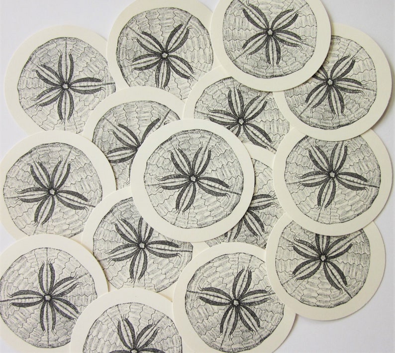 Sand Dollar Tags Round Gift Tags Set of 10 - Etsy