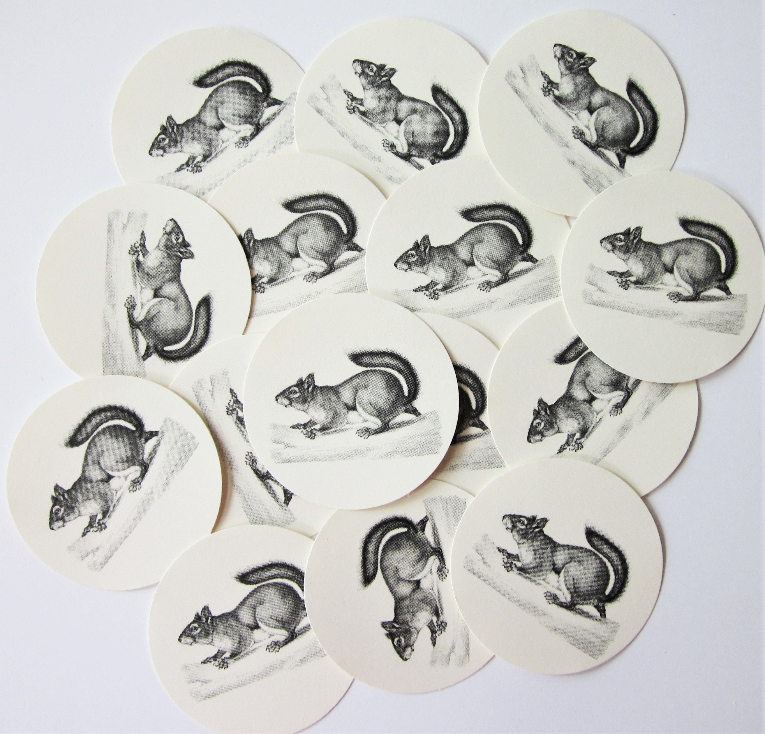 Squirrel Tags Round Gift Tags Set of 10 | Etsy