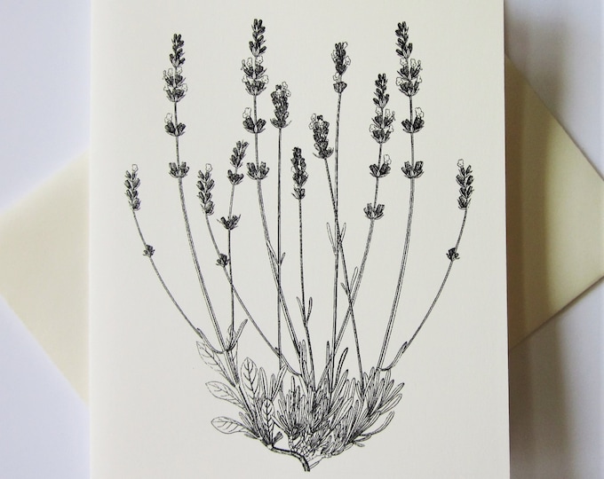 Pine Cone Note Cards Stationery Set of 10 Cards With Matching - Etsy