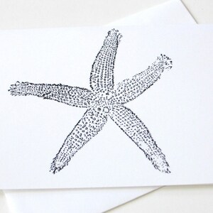 Starfish Note Card Set of 4 With Matching Envelopes - Etsy