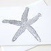 Starfish Note Card Set of 4 With Matching Envelopes - Etsy