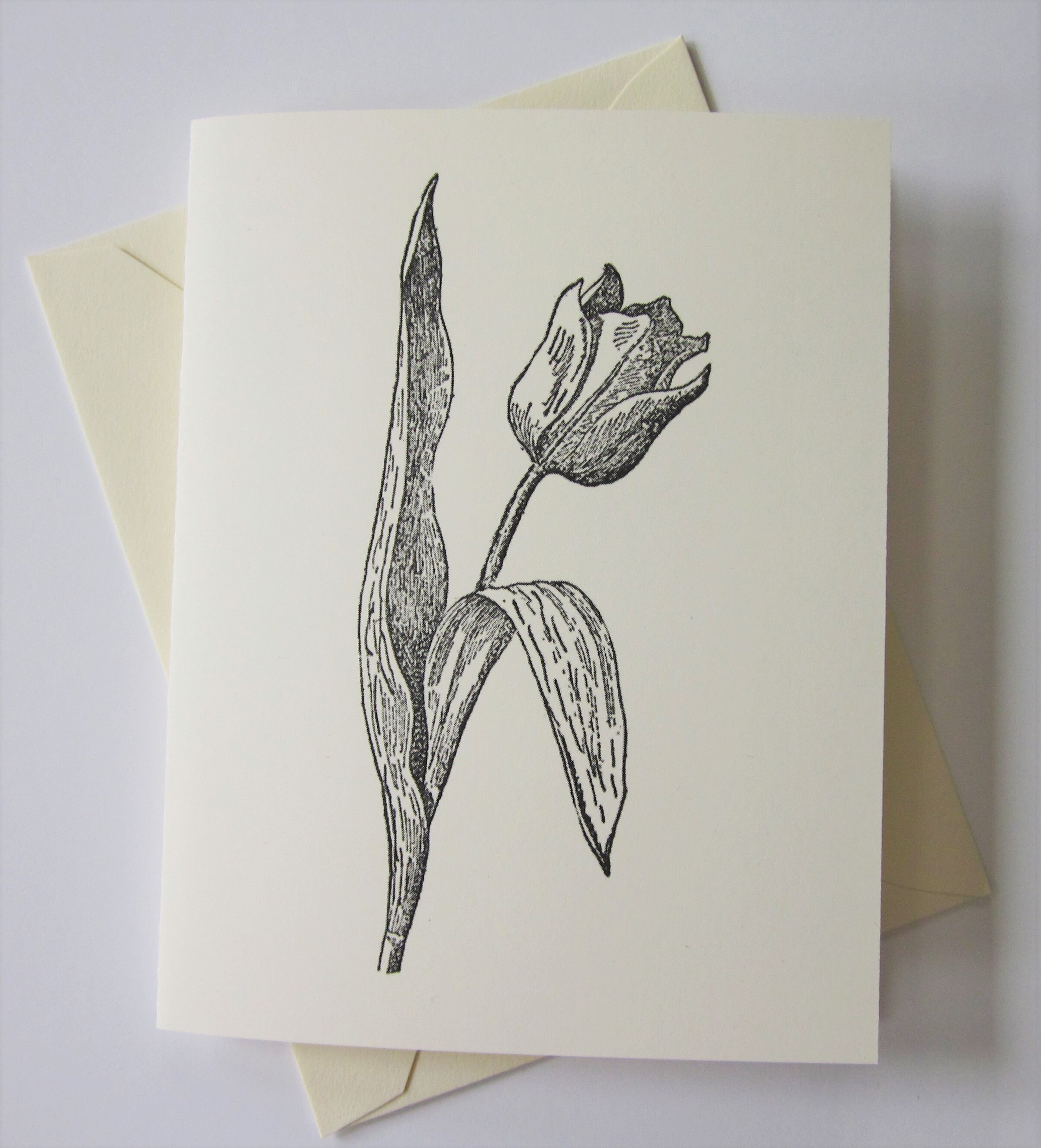 Tulip Flower Note Cards Stationery Set of 10 Cards in White or | Etsy