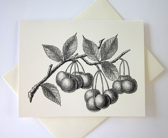 Cherry Fruit Cards Set of 10 in White or Light Ivory With | Etsy