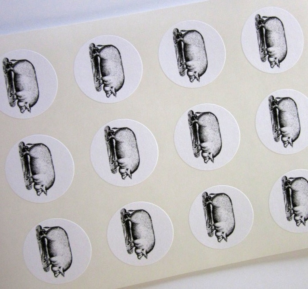 Pig Stickers One Inch Round Seals - Etsy