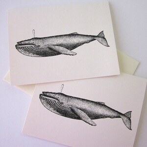 Whale Note Card Set of 10 in White or Light Ivory With Matching ...