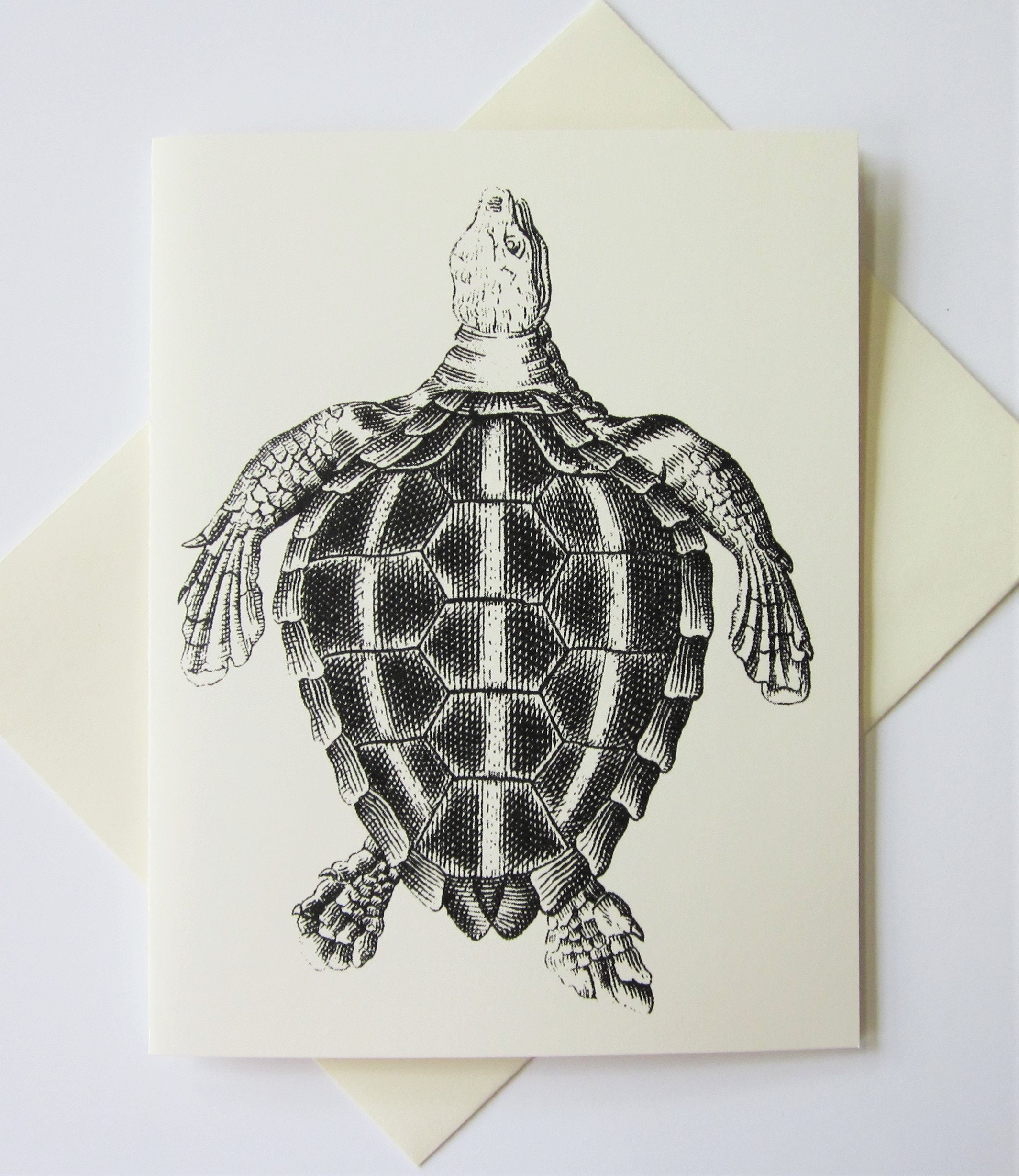 Turtle Tortoise Note Cards Set of 10 with Matching Envelopes | Etsy