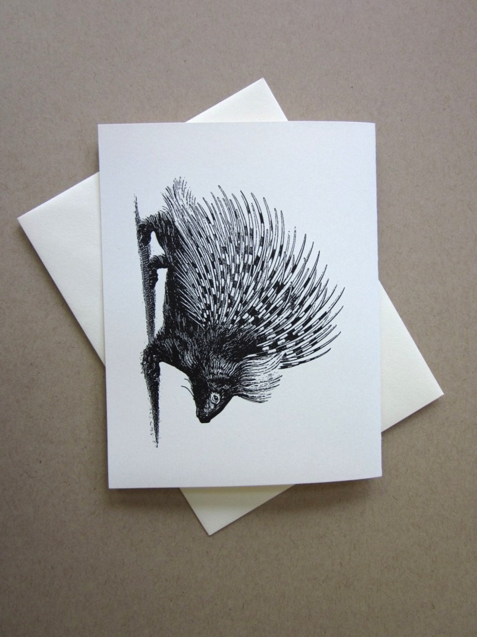 Porcupine Woodland Stationery Note Cards Set of 10 With Matching ...