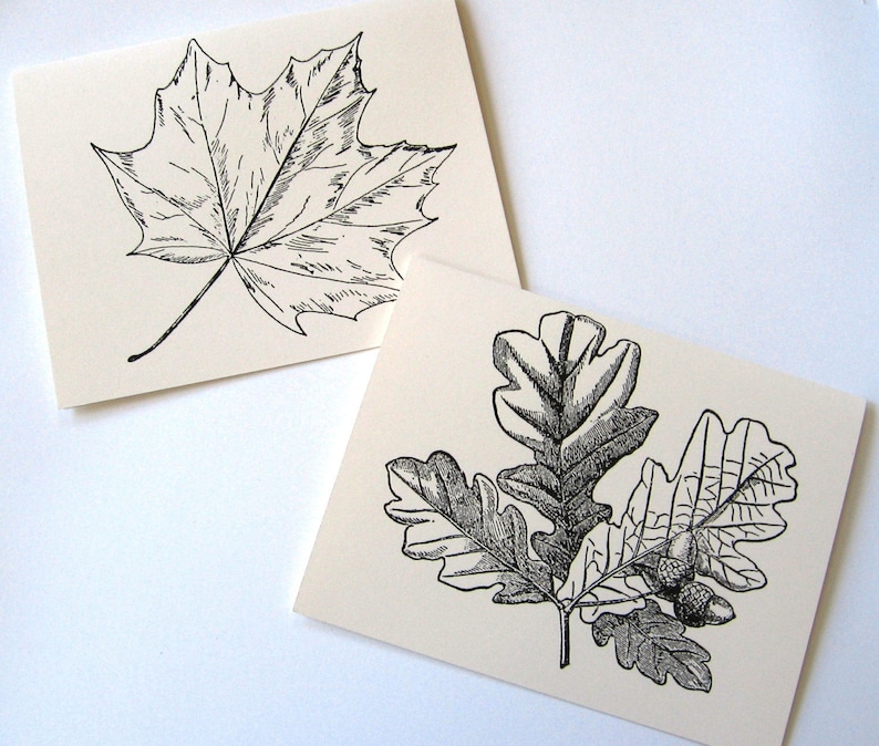 Leaf Note Cards Stationery Set of 10 Cards in White or Light Ivory With ...