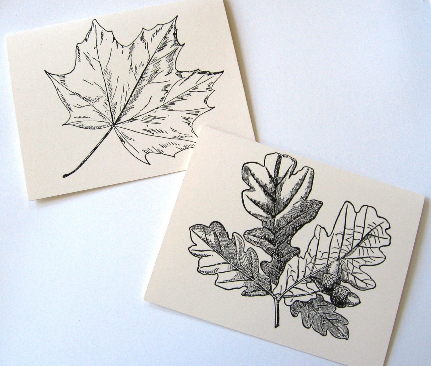 Leaf Note Cards Stationery Set of 10 Cards in White or Light - Etsy