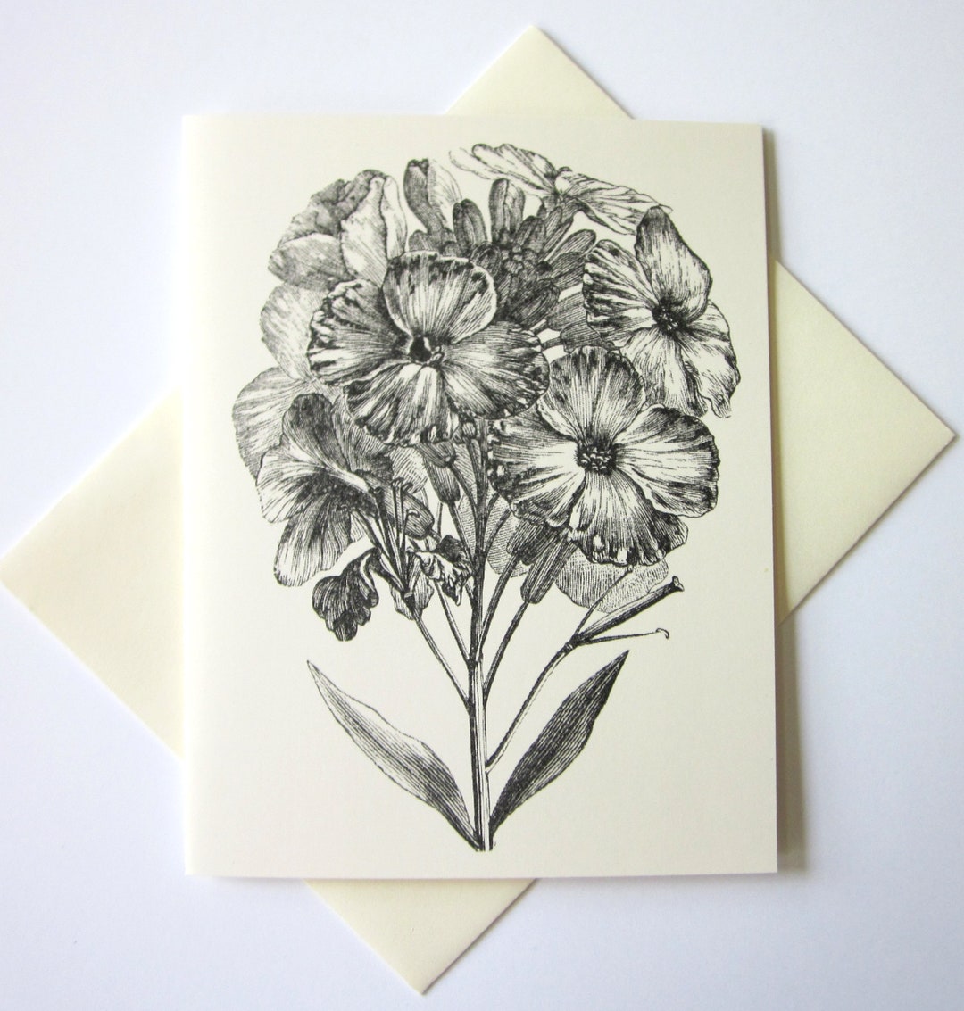 Wallflower Flower Floral Note Card Set of 10 in White or Light Ivory ...