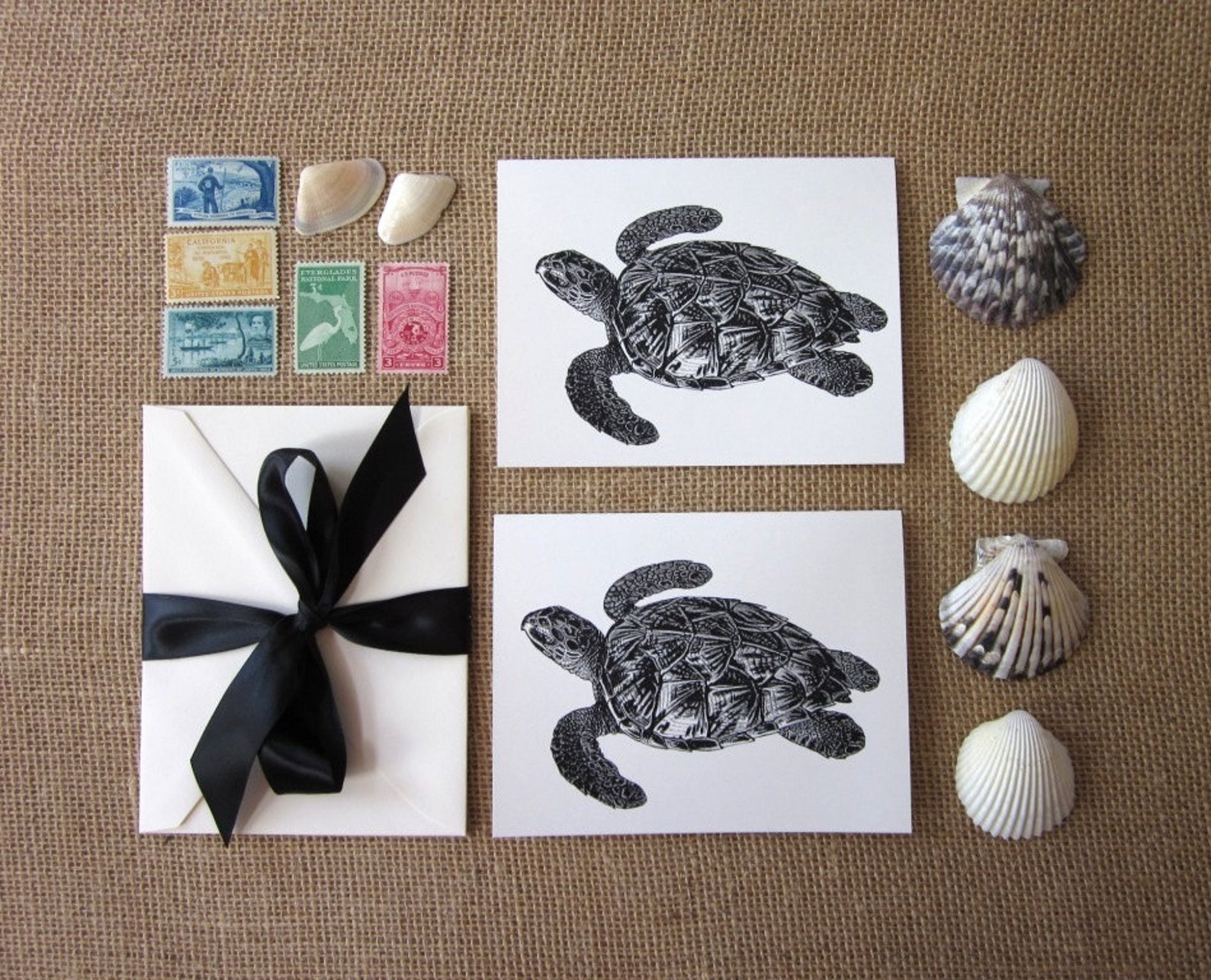 Sea Turtle Note Cards Set of 10 with Matching Envelopes | Etsy