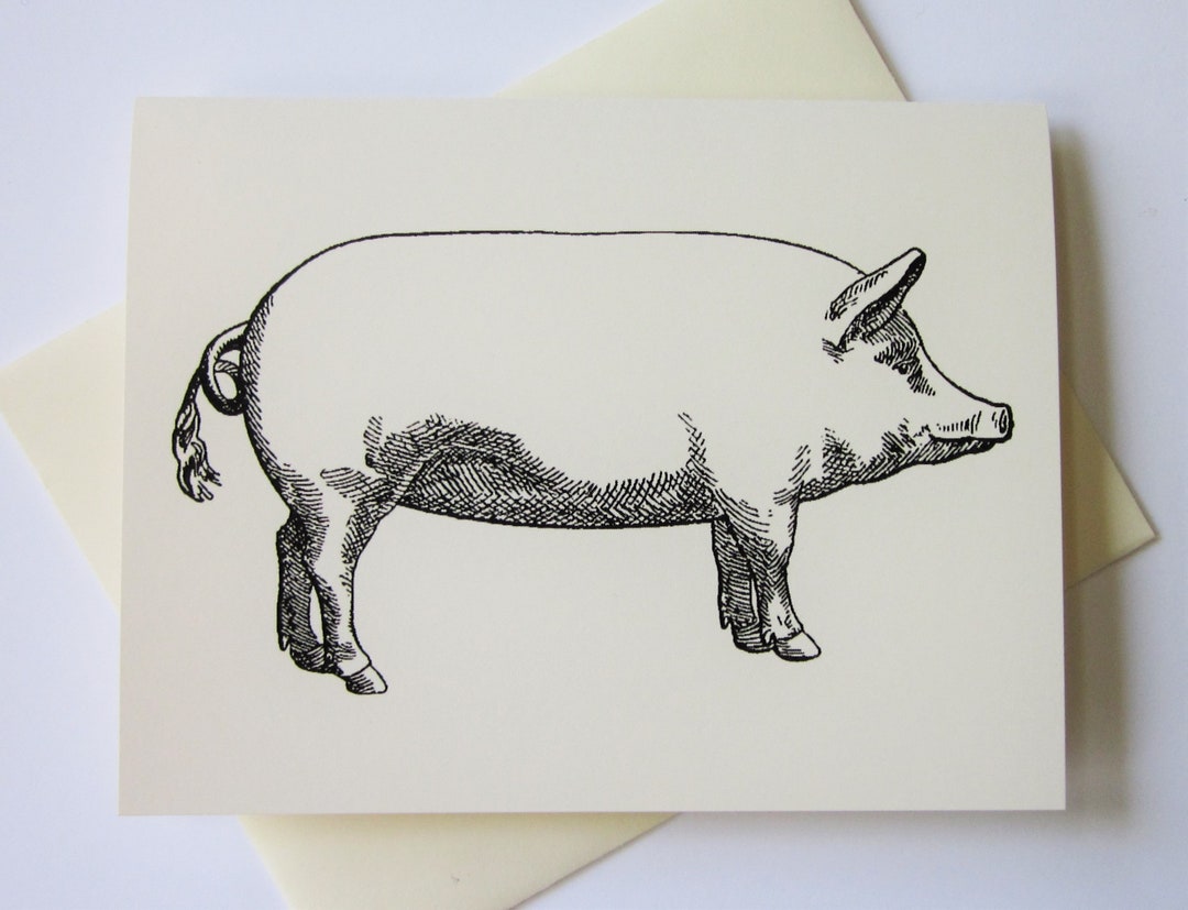 Pig Note Cards Stationery Set of 10 Cards in White or Light Ivory With ...