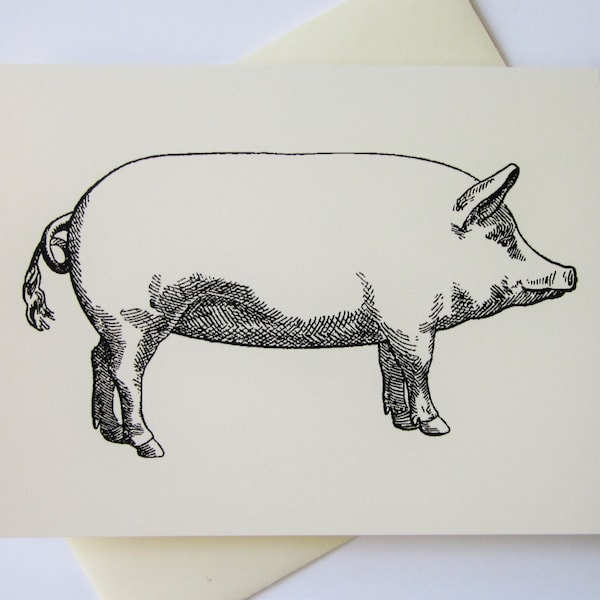 Pig Note Cards - Etsy