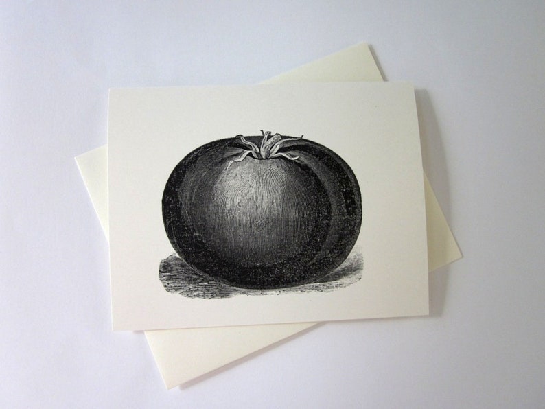Vegetable Note Cards Set of 10 With Matching Envelopes - Etsy