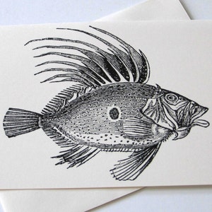 Fish Note Cards Stationery Set of 12 Cards in White or Light Ivory With ...